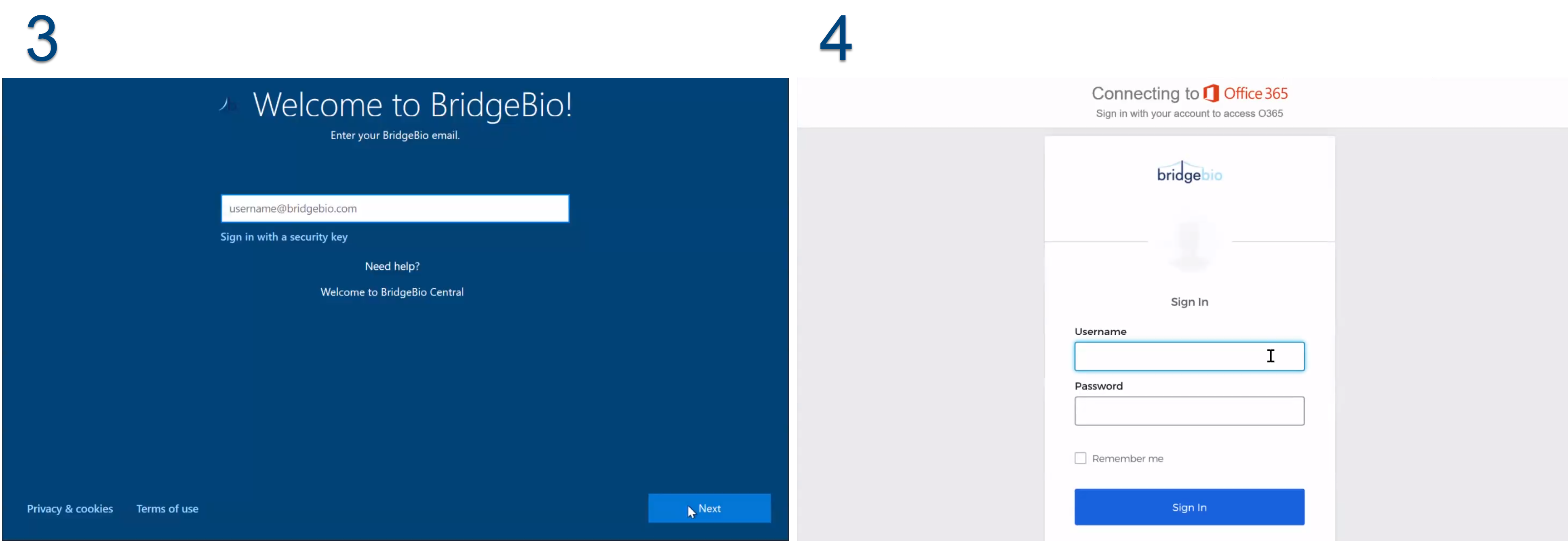 Welcome to BridgeBio: Windows – BridgeBio